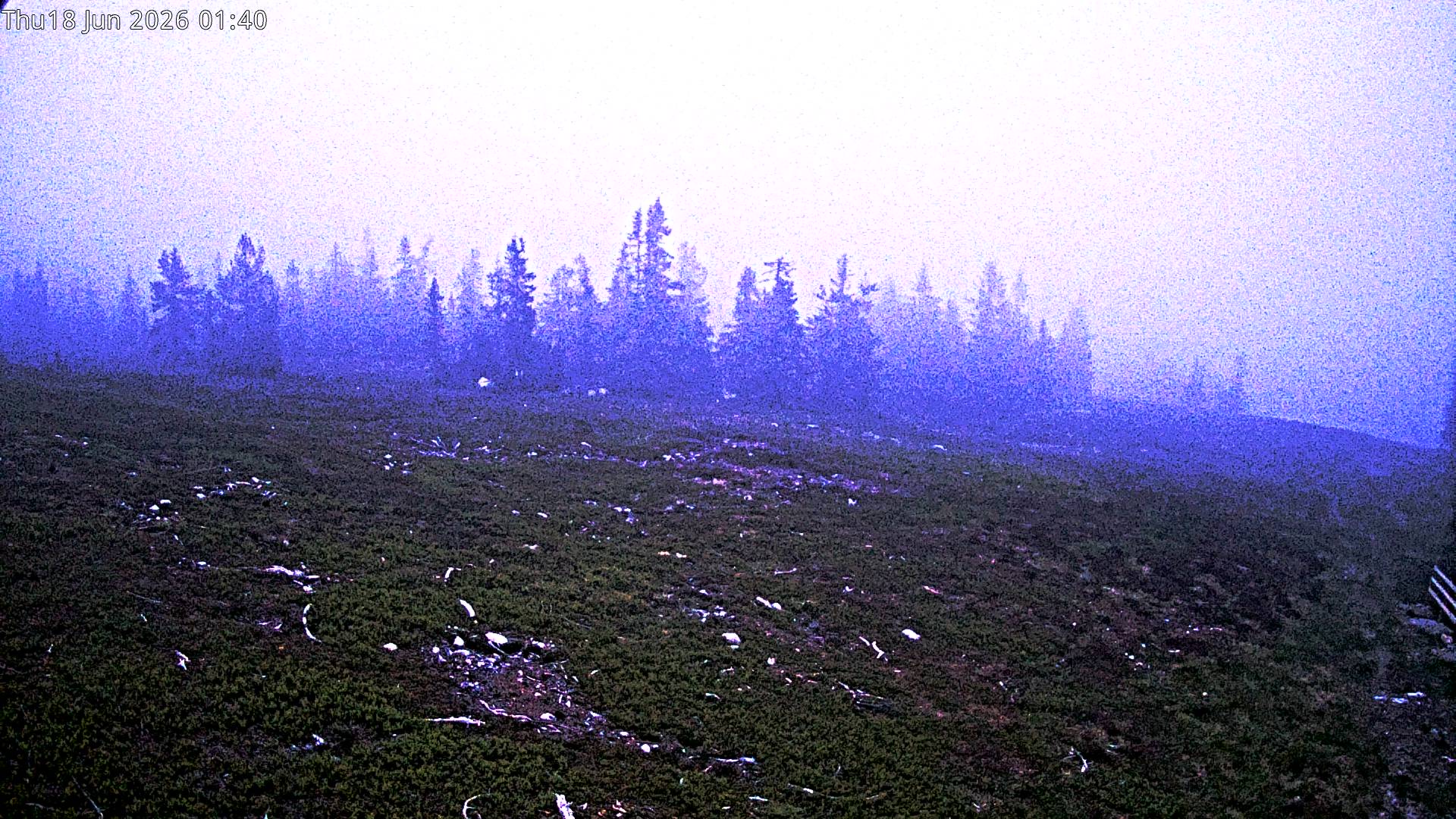 webcams - VisitBudor