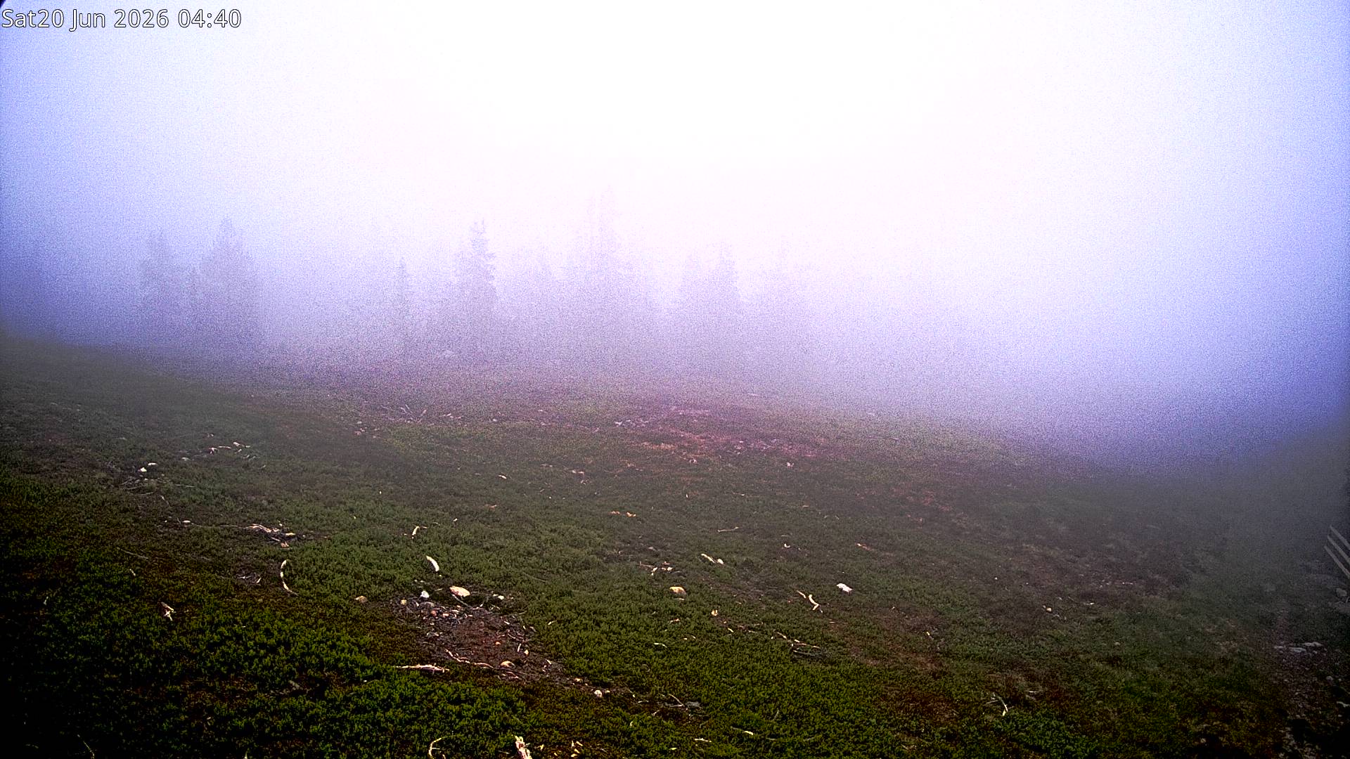 webcams - VisitBudor