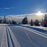 Langrenn på Budor – ekte skiglede på Hedmarksvidda | VisitBudor