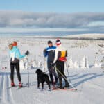 Langrenn på Budor – ekte skiglede på Hedmarksvidda | VisitBudor